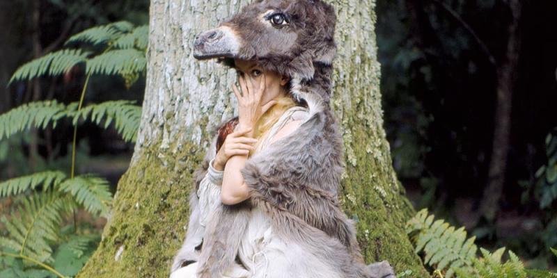 Donkey Skin | Screen Slate