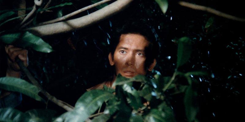 Local to Us: Kani Releasing Levels the Gaze on Asian Cinema | Screen Slate