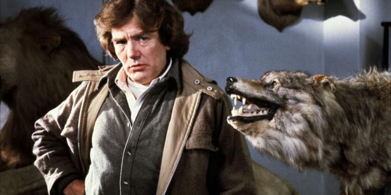 Wolfen | Screen Slate