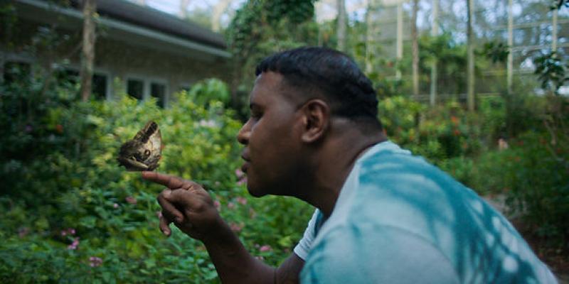 Caterpillar | Screen Slate