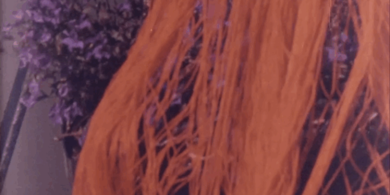 Larry Gottheim: The Red Thread | Screen Slate