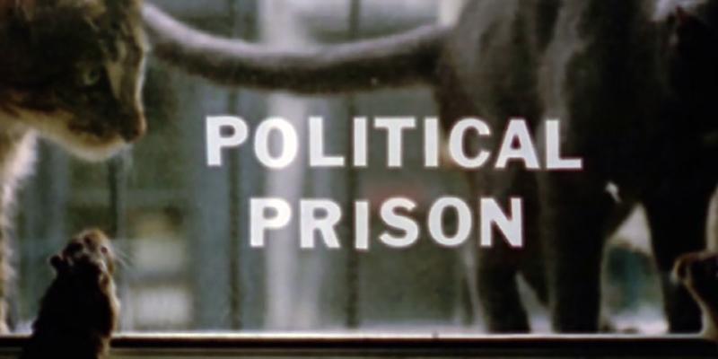 Disruptive Film: 10 Escape Routes in 90 Minutes | Screen Slate