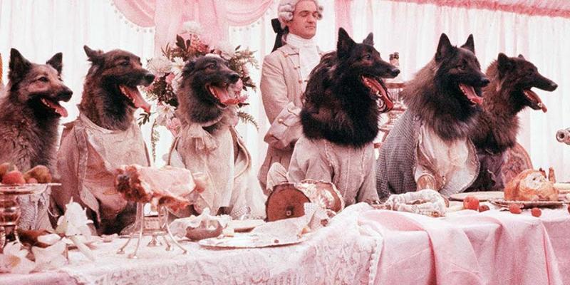The Company of Wolves | Screen Slate