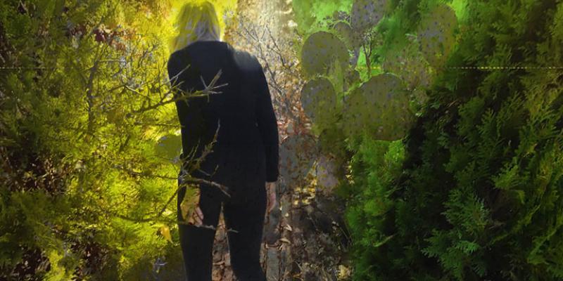 Cecelia Condit: Early & Recent Works, May 21 | Screen Slate